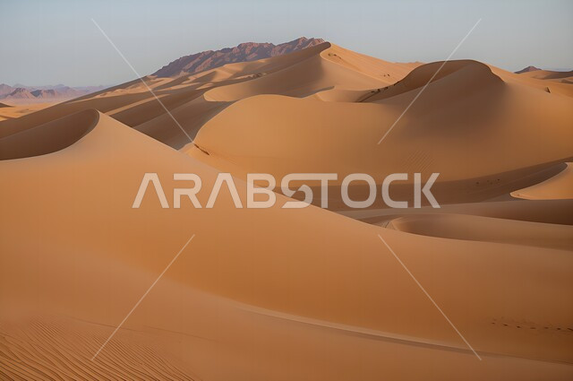 Sand dunes in the deserts of Saudi Arabia, soft golden sand in the ...