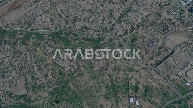 Trees and plants in agricultural lands and wide green spaces, an aerial ...