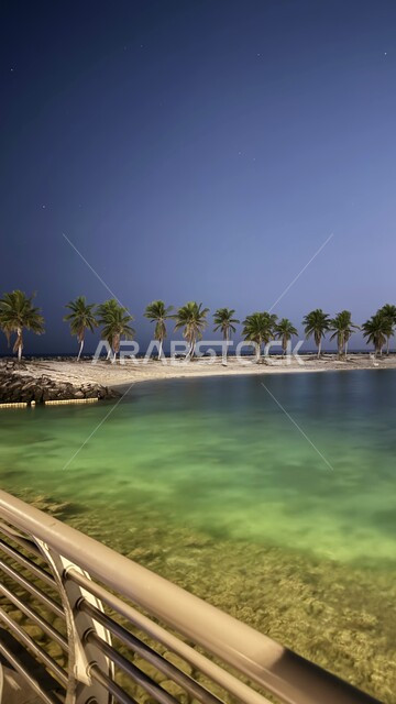 Planting palm trees in tourist cities, famous natural landmarks and ...