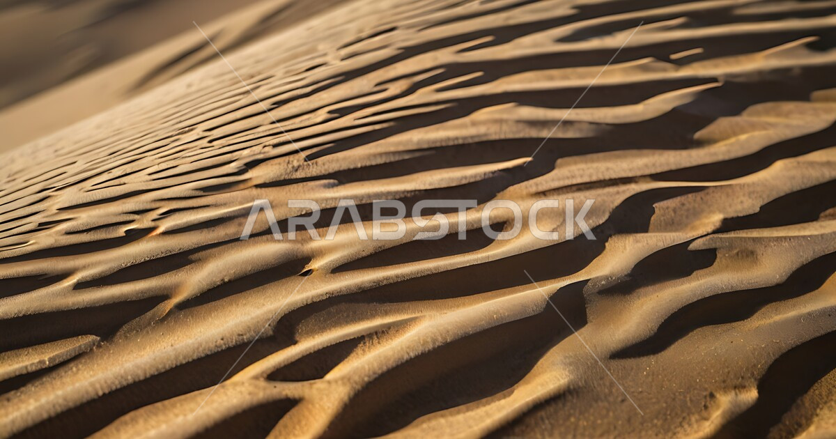 الهضاب و التلال من الرمال الناعمة في الربع الخالي، التكوينات والتشكلات ...