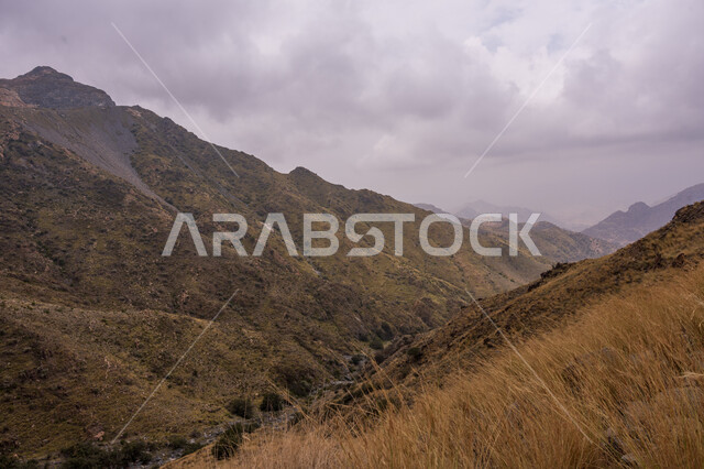 The rocky environment and mountainous nature in the Al-Shifa area in ...