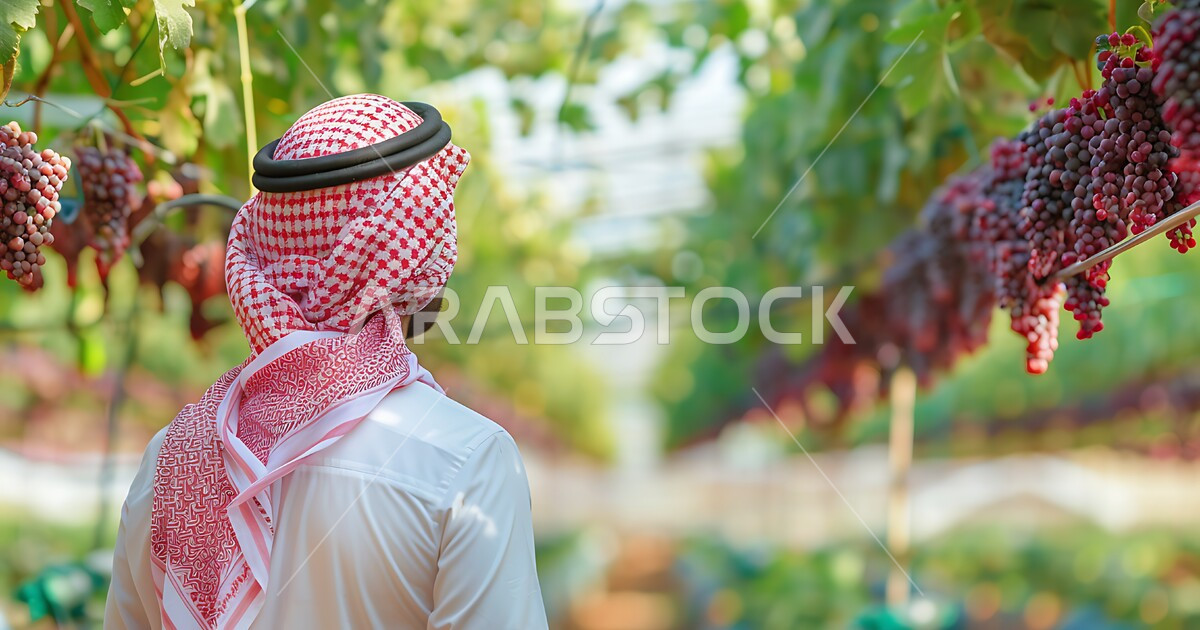 Local national agricultural products and crops, fruit farms and fields ...