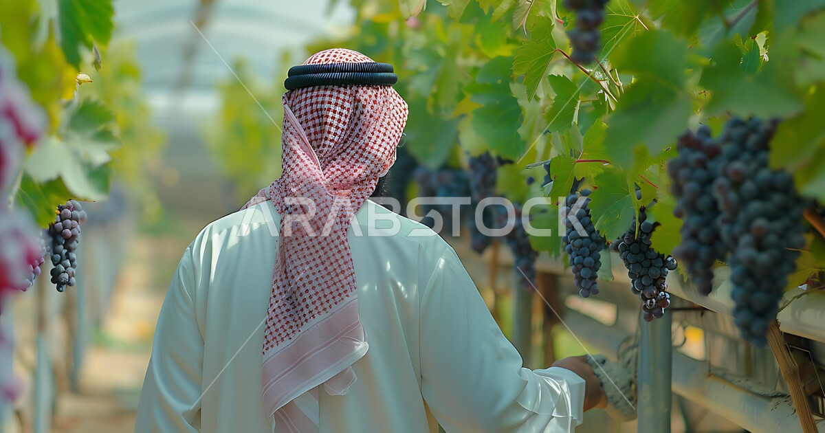 Local national agricultural products and crops, fruit farms and fields ...