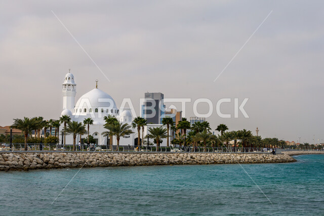 Green palm trees, Al-Khobar Corniche waterfront, Joza Al-Qahtani Mosque ...