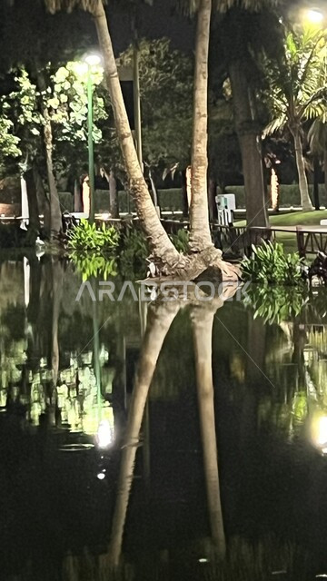 Yanbu Lake Industrial Park in the Kingdom of Saudi Arabia, wide lakes ...