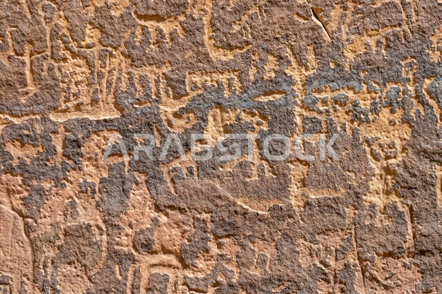 Sculptures, fossils, and historical rock drawings, archaeological ...