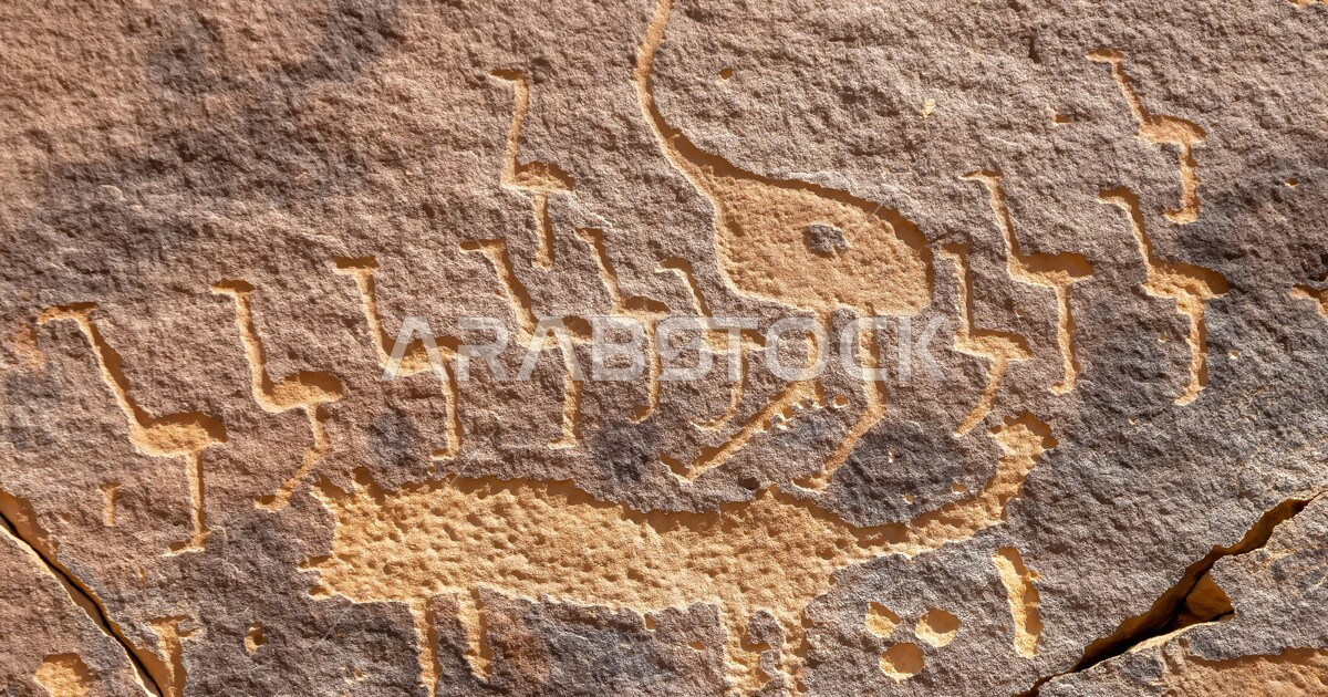 Fossils, sculptures and historical rock drawings, archaeological ...