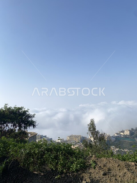 Mountain highlands and peaks, green plants and trees, residential ...