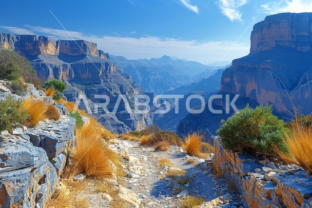 Natural tourist places and attractions in Saudi Arabia, natural plants ...