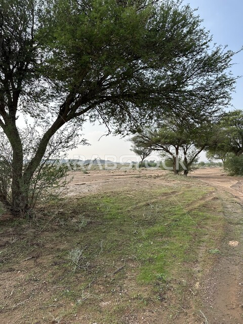 Gardens and recreational parks in the Kingdom of Saudi Arabia, interest ...