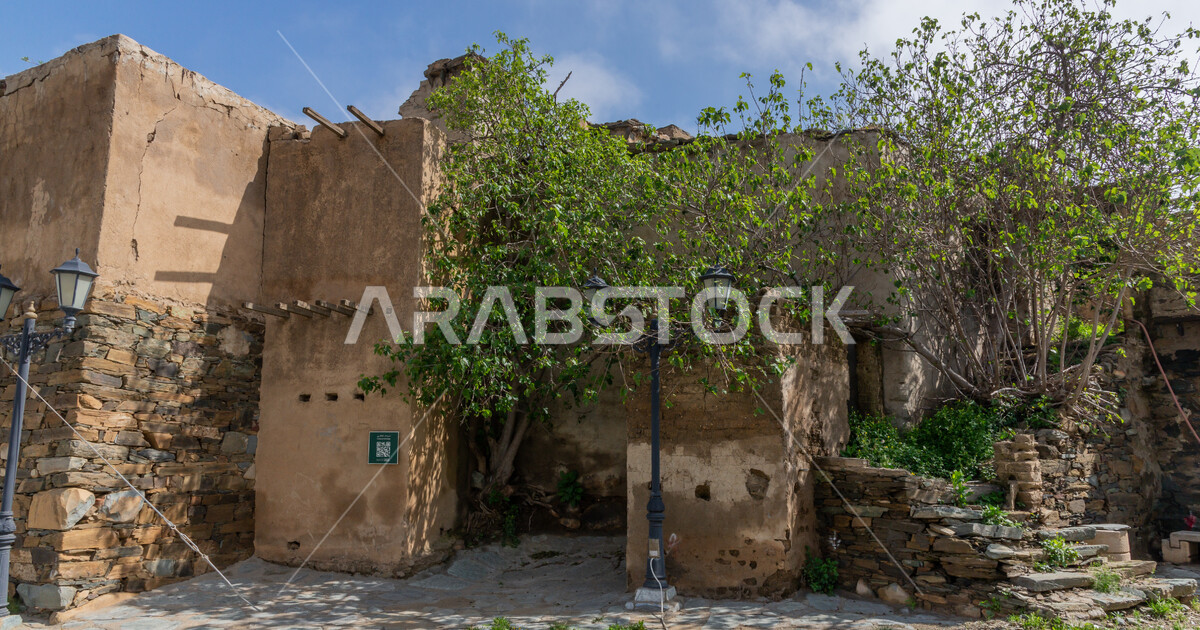 Trees and green plants, ancient architectural art, historic stone ...