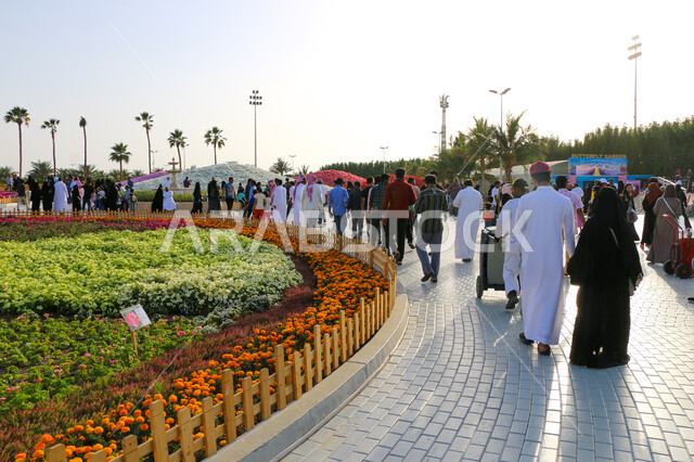 Natural tourist exhibitions and festivals in the Kingdom of Saudi ...