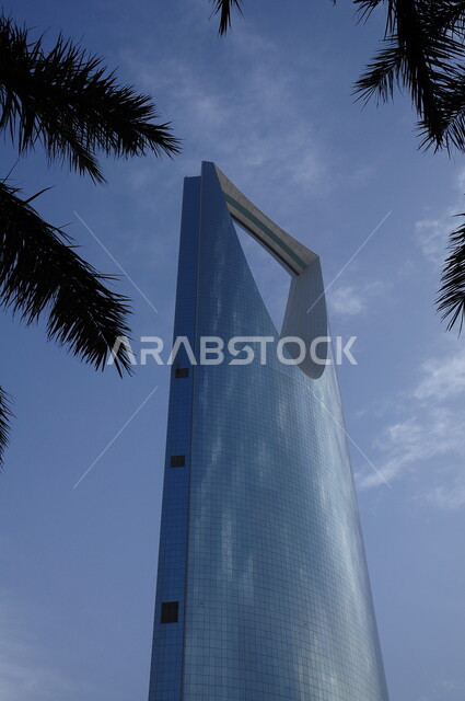 Interest in afforestation and planting palm trees, urban growth and ...