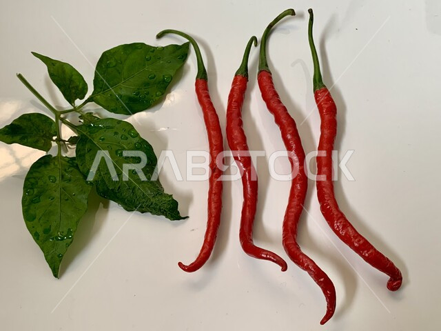 Saudi national local agricultural products and crops, harvest season in ...