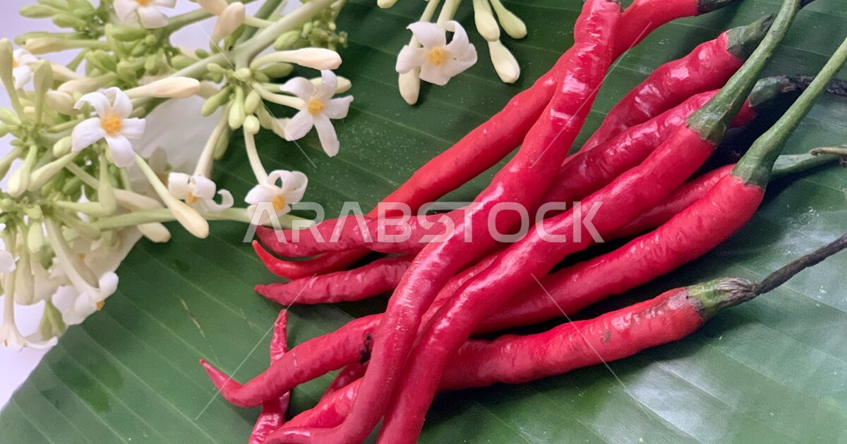Vegetables full of vitamins, red hot peppers, local Saudi national ...