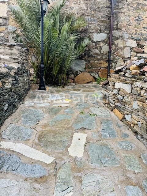 Trees and green plants in the old streets, roads and stone houses in ...