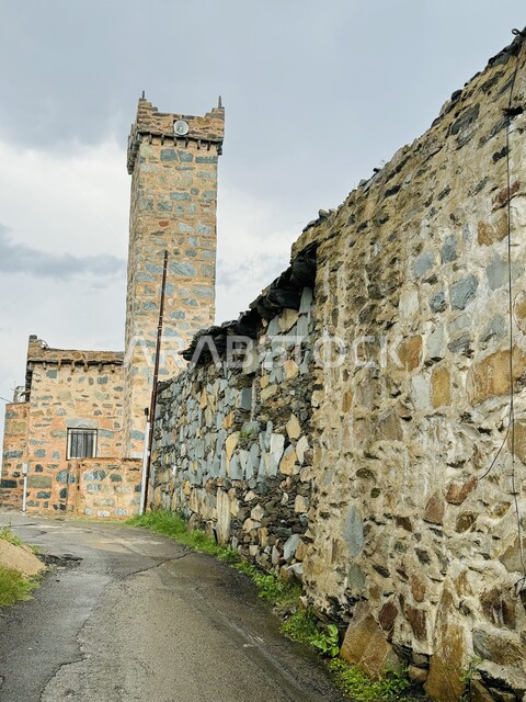 The architectural engineering art of mosques in the Kingdom of Saudi ...