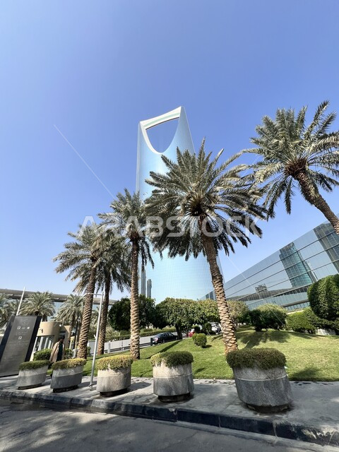 Interest in planting palm trees and green plants, urban growth and ...