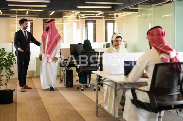 Comfortable work environment in Saudi companies, discussing plans and ...