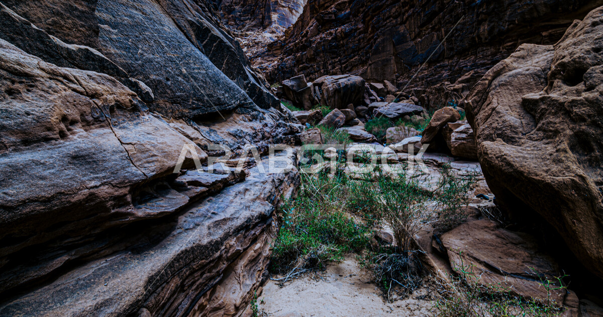 التكوينات والتشكيلات الصخرية في مدائن صالح في محافظة العلا, الحضارة ...