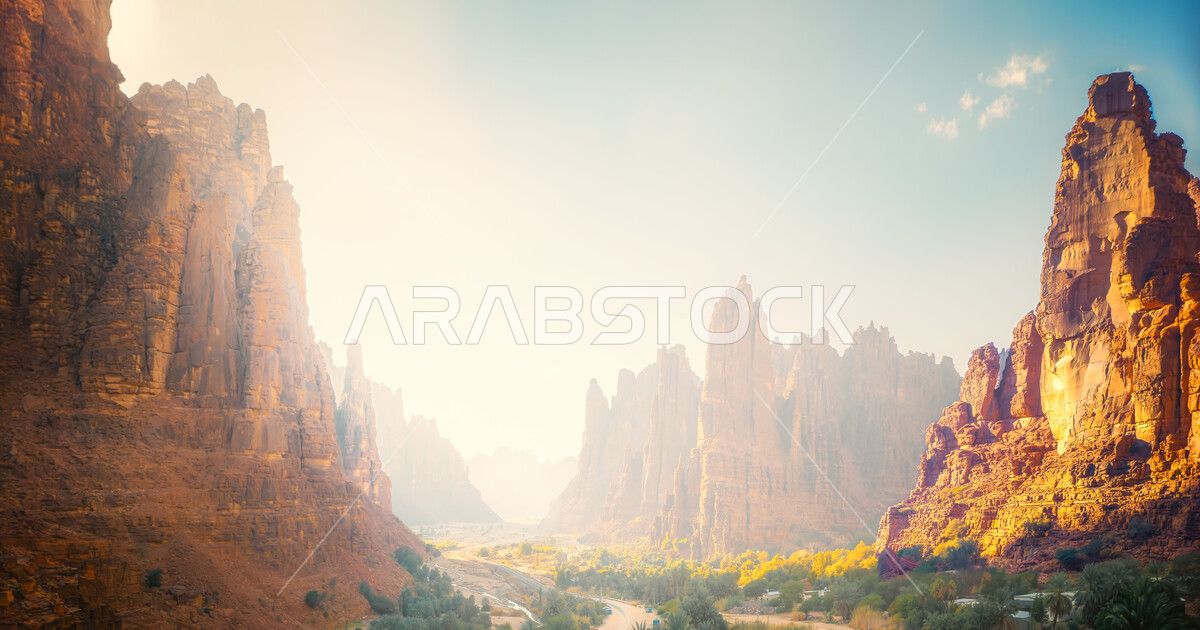 محمية الأمير محمد بن سلمان الملكية، الاهتمام بالزراعة والتشجير في المدن ...