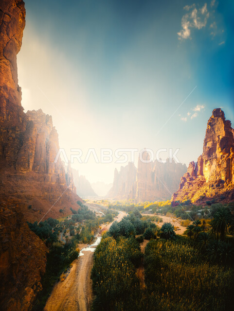 محمية الأمير محمد بن سلمان الملكية، الاهتمام بالزراعة والتشجير في المدن ...