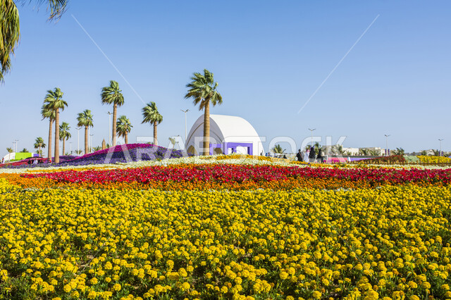 Fields of colorful roses at the Flowers and Gardens Festival, an ...