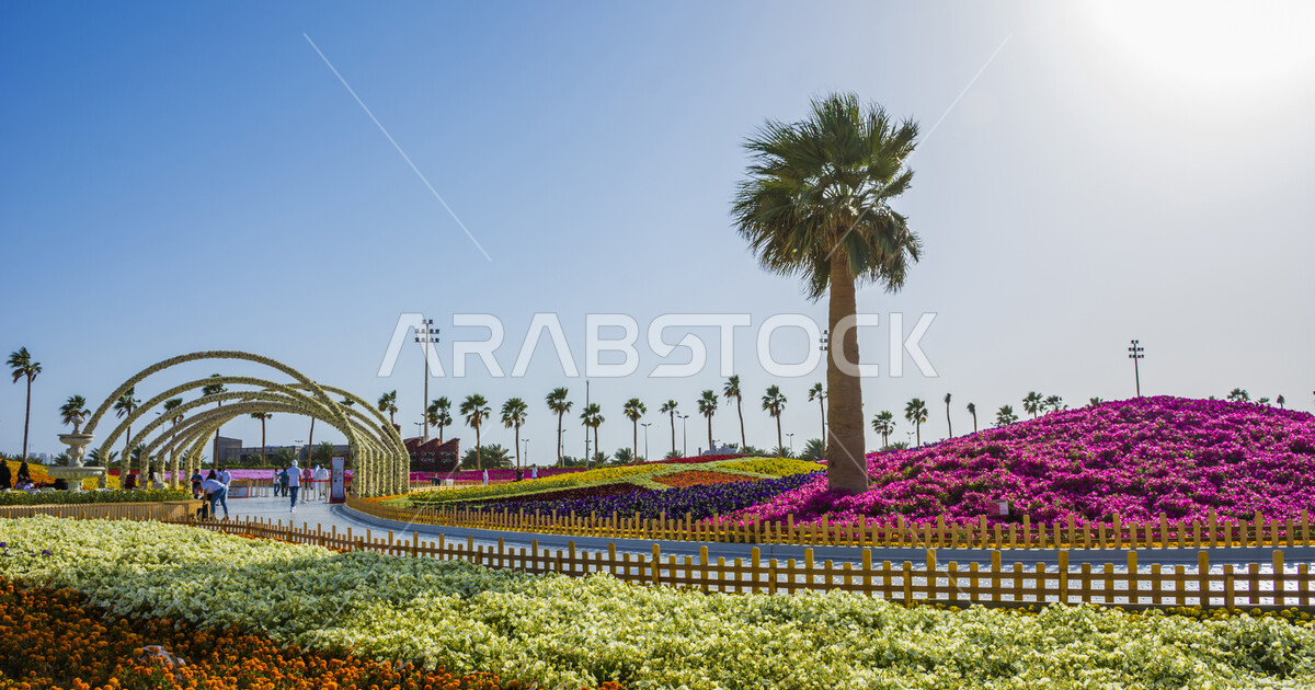 حقول الورود الملونة في مهرجان الزهور والحدائق، وجهه عائلية بيئية ثقافية ...