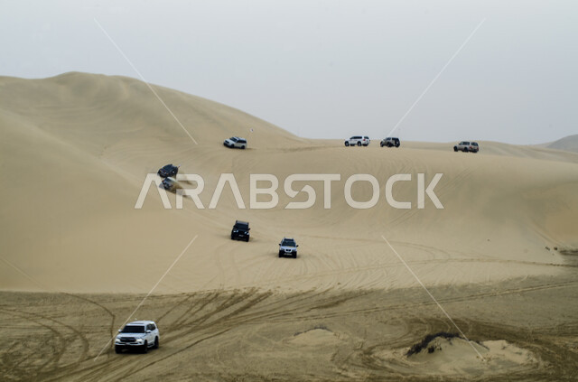 An exciting adventure in the desert environment, a fun desert activity ...