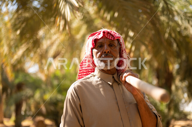 The role of Saudi farmers in agriculture, plowing and caring for trees ...