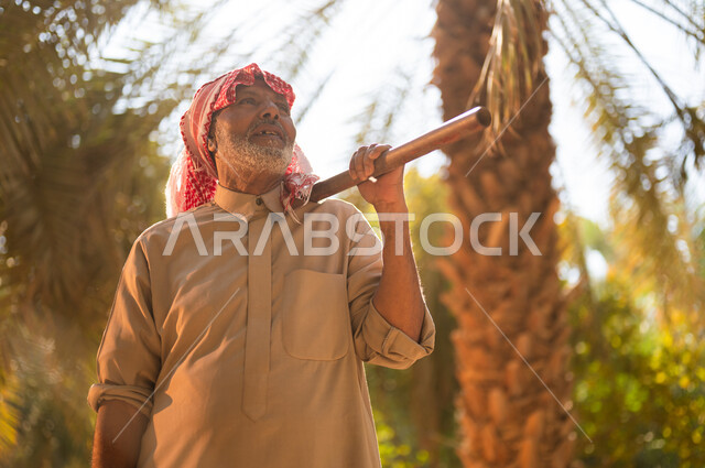 Preparing to plow agricultural land, walking around one of the Kingdom ...