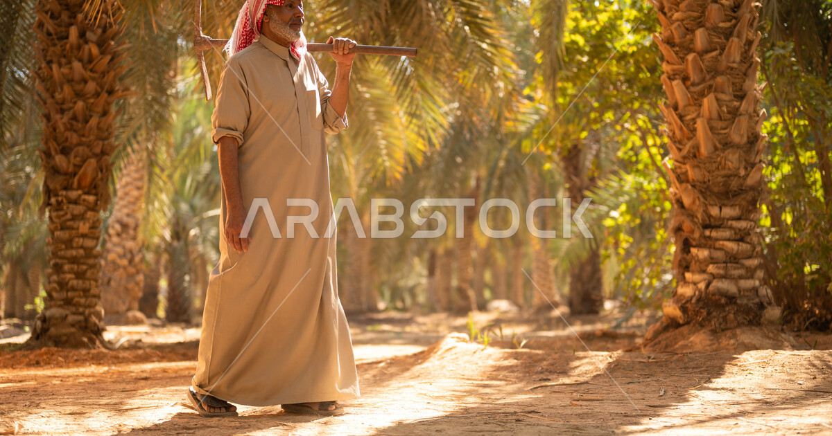 الانتهاء من الحفر وحراثة الأرض في مزرعة النخيل باستخدام أدوات قديمة، دور الفلاحين السعوديين في ...