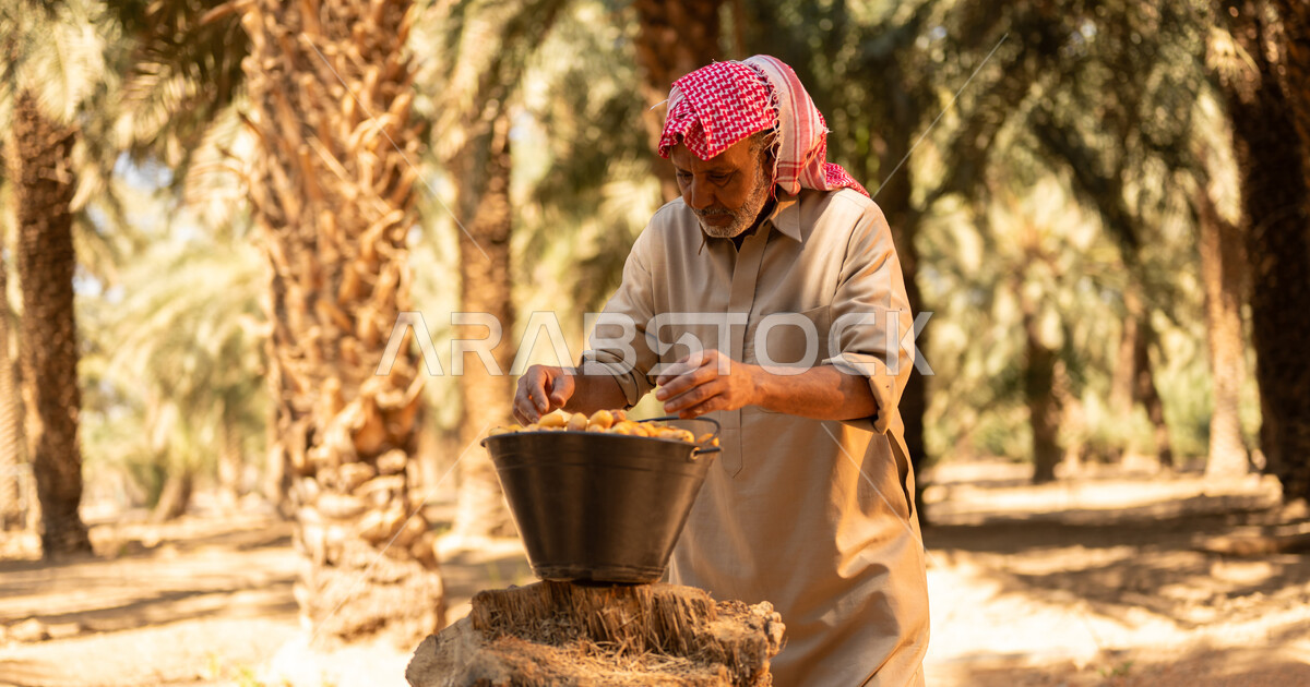 The role of Saudi farmers in caring for agricultural lands, harvesting ...