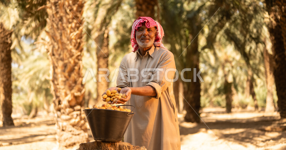 Holding fresh dates with gestures of joy, harvest season and reaping ...