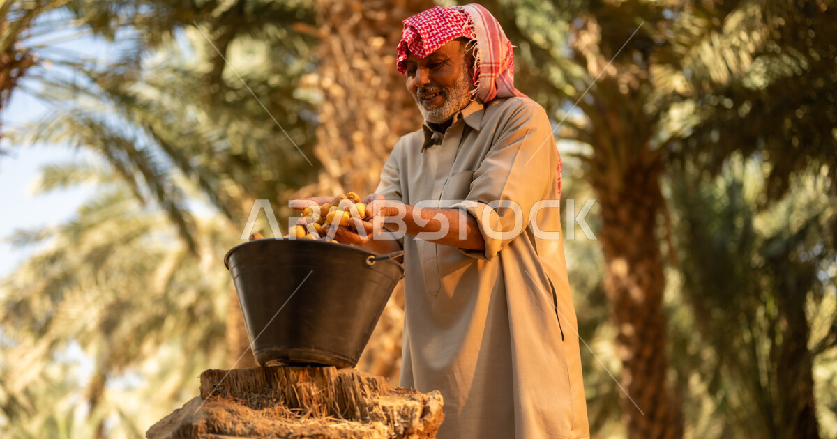 The role of Saudi farmers in caring for agricultural lands, harvesting ...