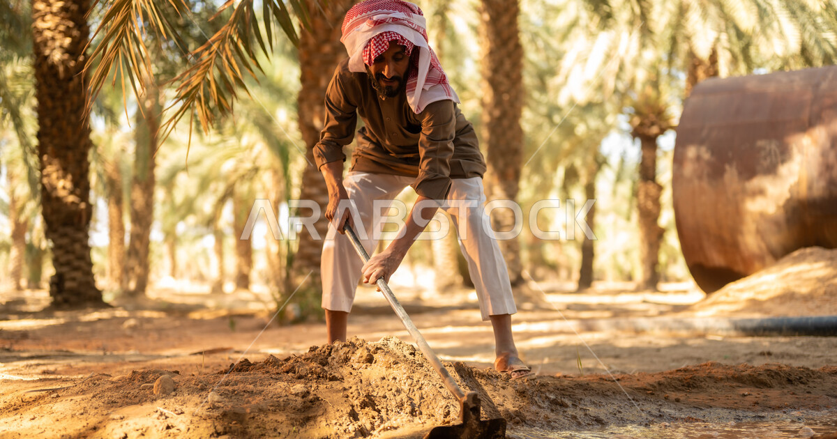 Planting local fruit trees, a Saudi Gulf Arab farmer wearing a thobe ...