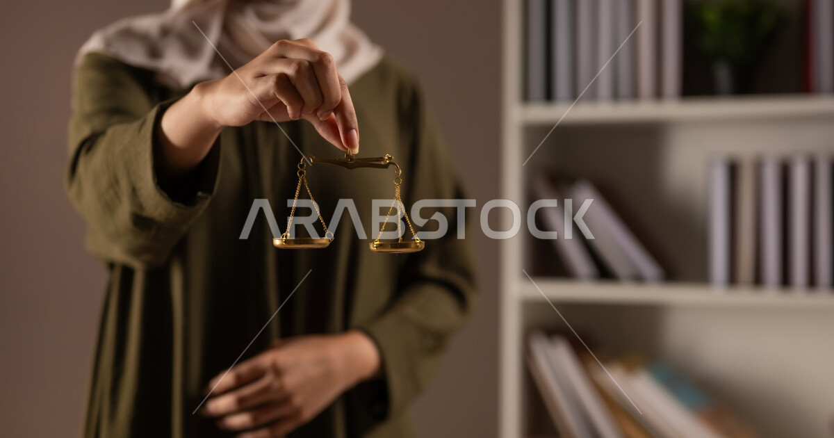 العمل في مجال القضاء والمحاماة, مفهوم العدالة ودراسة القضية, مهن ووظائف قانونية, دراسة القانون ...