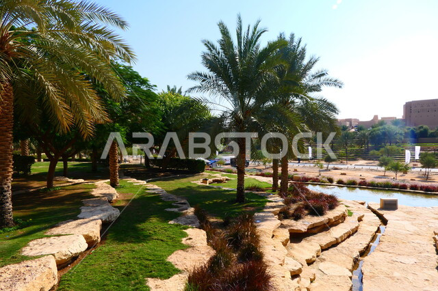 Interest in growing plants and palm trees, the historic Diriyah ...