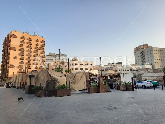 Interest in planting trees, streets and alleys in the historic city of ...