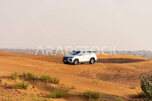 Fun desert activities, an exciting adventure on the soft golden sand in ...