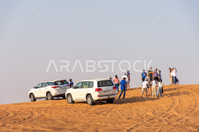 Safari adventures on the sand dunes, a Toyota Land Cruiser in the ...