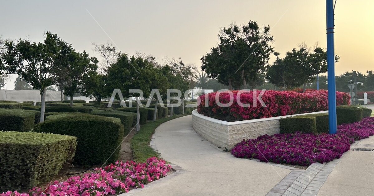 A scene of the garden of the Hilton Salwa Resort in Qatar, interest in ...