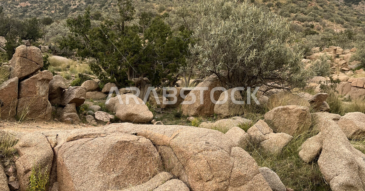 Al-Shafa Mountains in the city of Taif in the Kingdom of Saudi Arabia ...