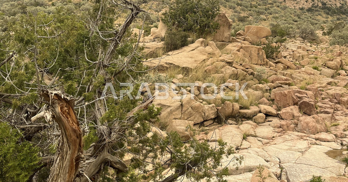 Al-Shafa Mountains in the city of Taif in the Kingdom of Saudi Arabia ...