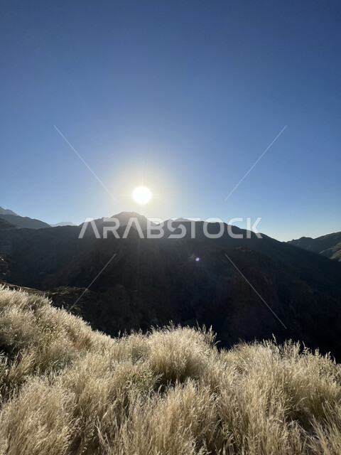 Al Shafa Mountains in Taif, Saudi Arabia, famous tourist places, rock ...
