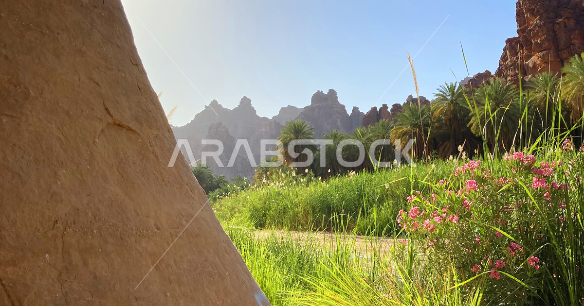 The land of palm trees and charming eyes, rock formations and ...