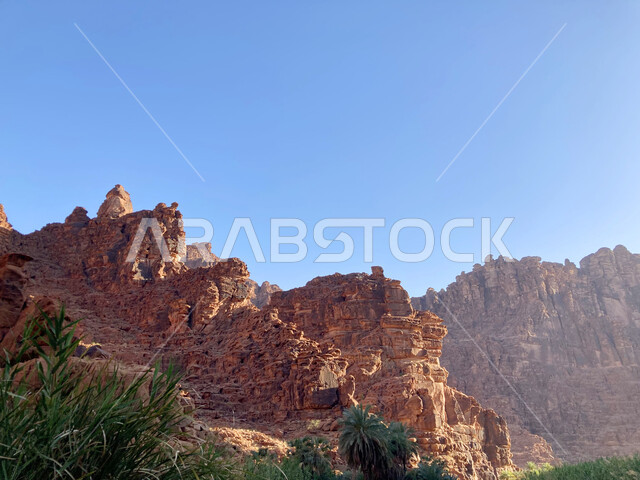 Green wild plants in Wadi Al-Disa in the Tabuk region, rock formations ...