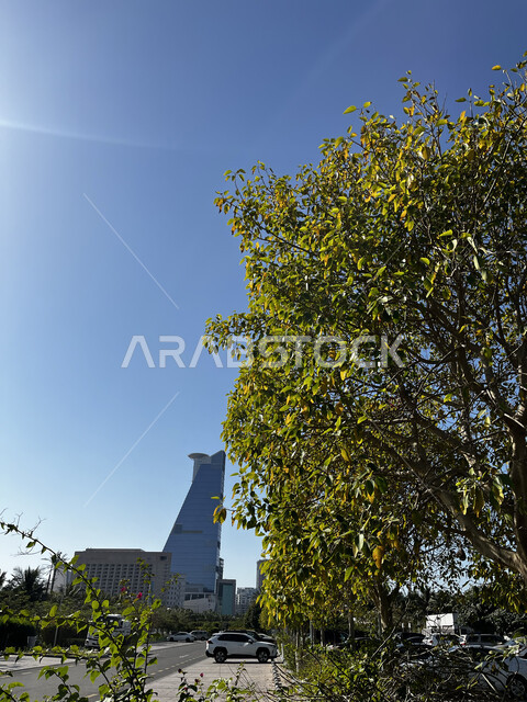 أماكن ومعالم سياحية ترفيهية في المملكة العربية السعودية، الطبيعة ...