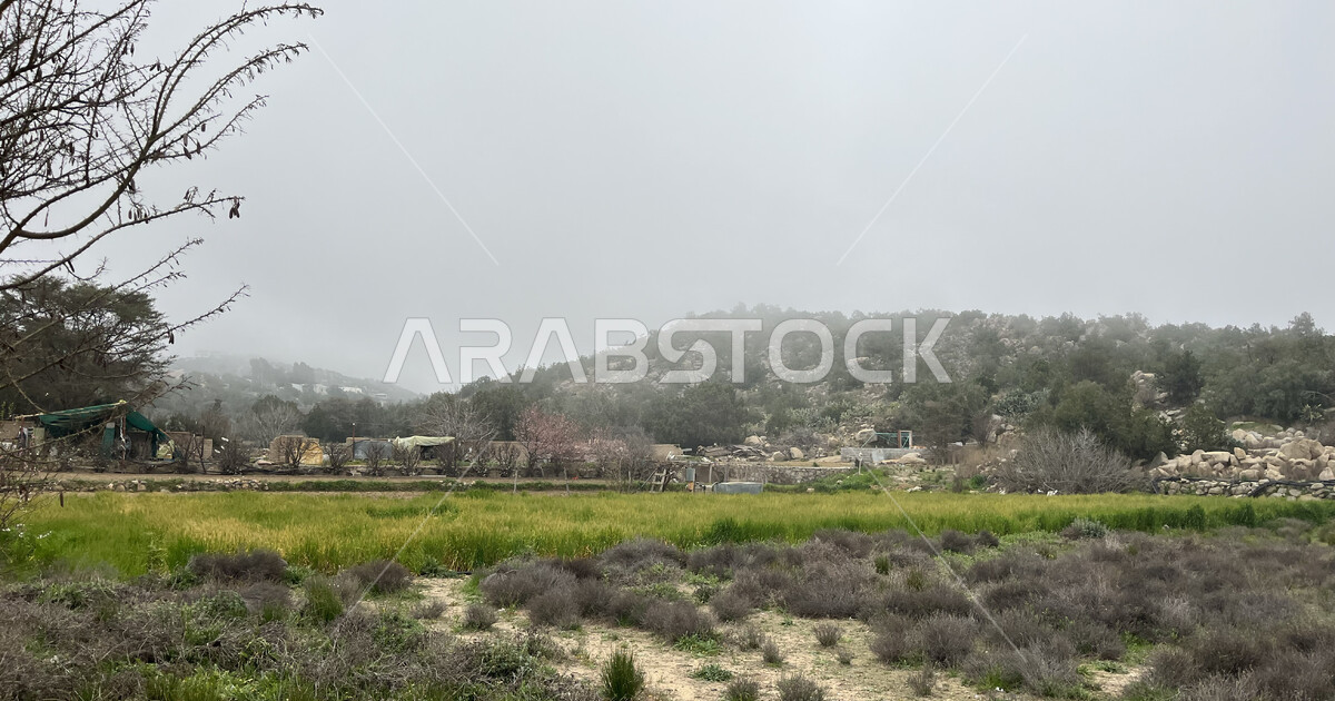Topography and mountainous heights in Al Shafa, fertile agricultural ...