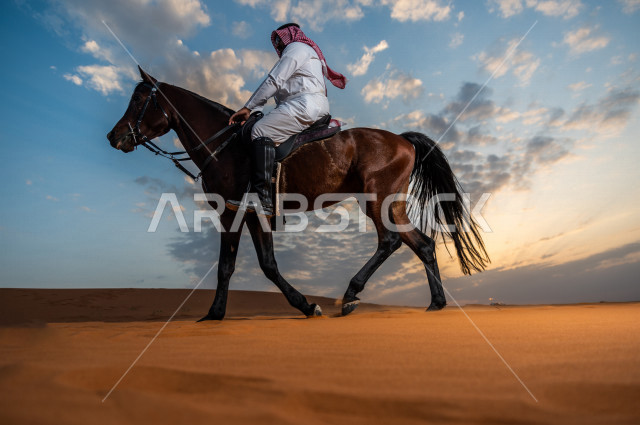 A Saudi Gulf rider riding horses in the picturesque Saudi desert in ...